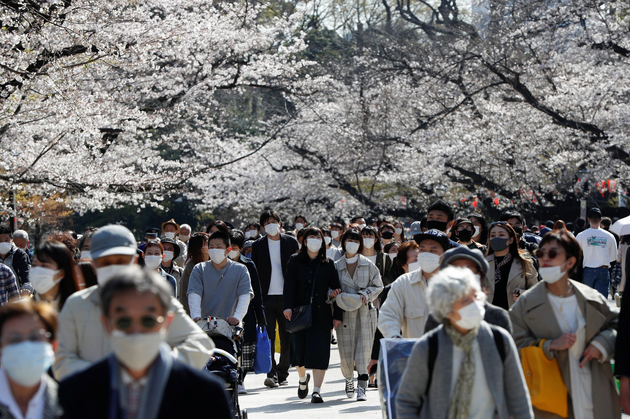 Best The First Trip to Japan Guide 2021 » Gitwa Travel Notes